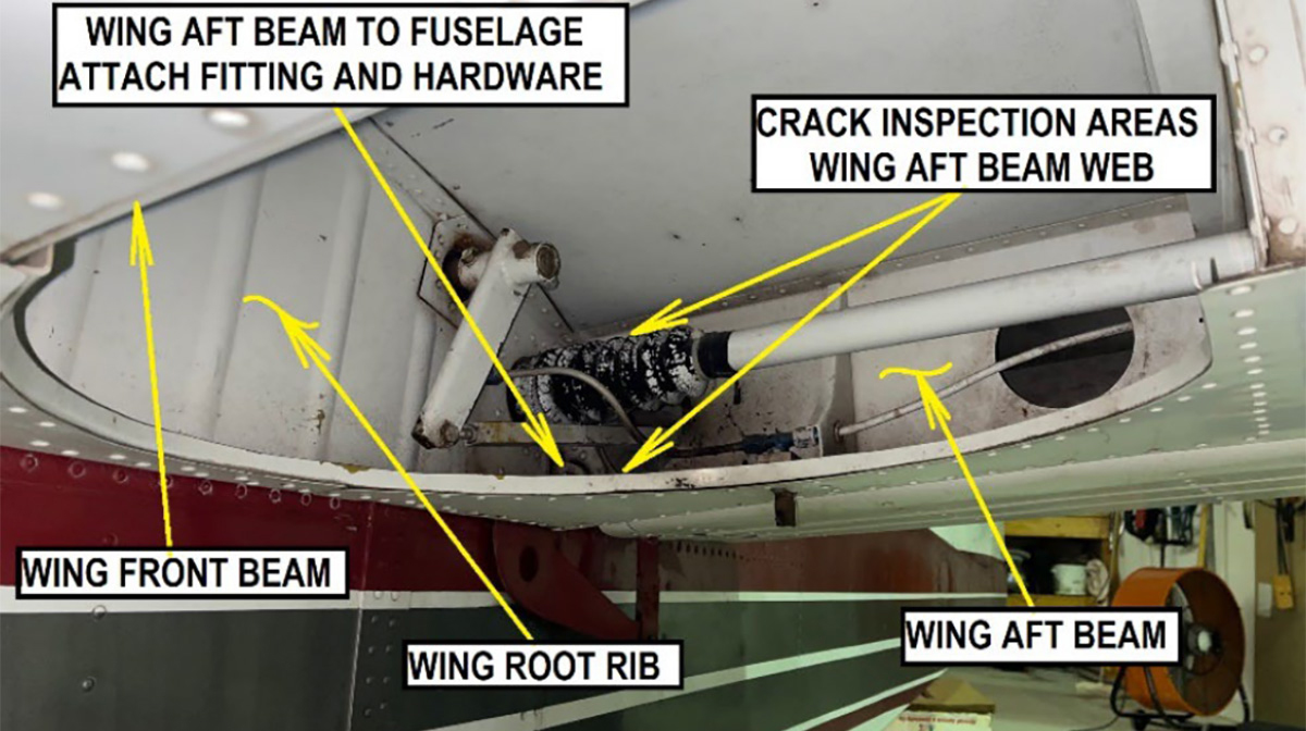 Safety: The WINGS Program and You - You Can Fly